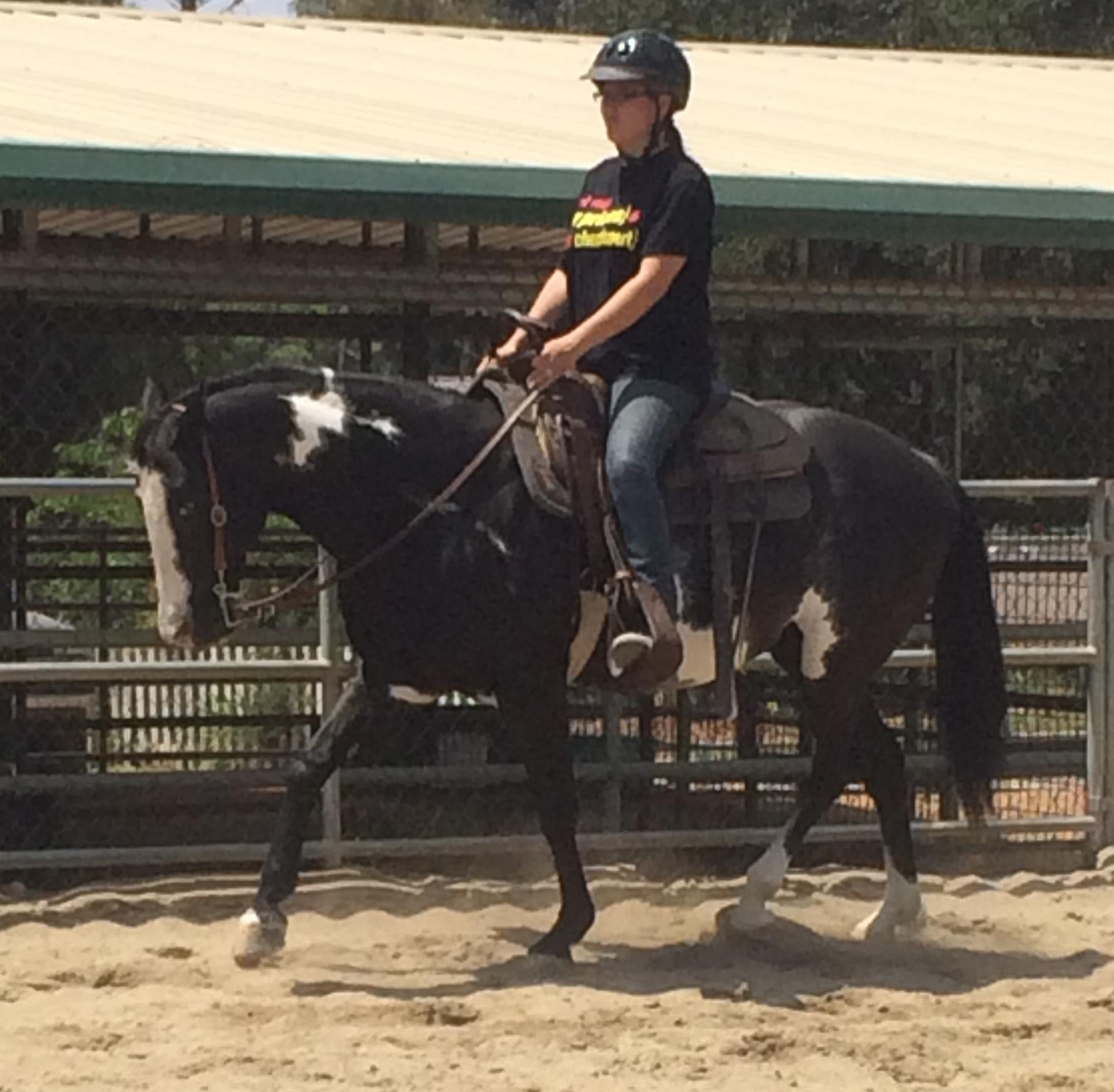 How Much Does It Cost To Own A Horse CRK Training Stable How Much Does It Cost To Own A Horse CRK Training Stable
